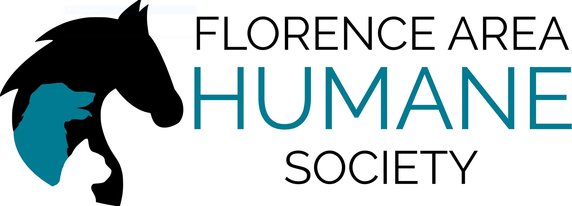 Florence Human Society Dutch The Social Hub Opens Gigantic New