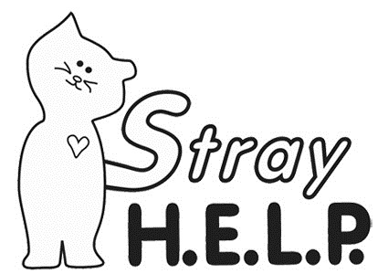 Donate A Car To A Nonprofit